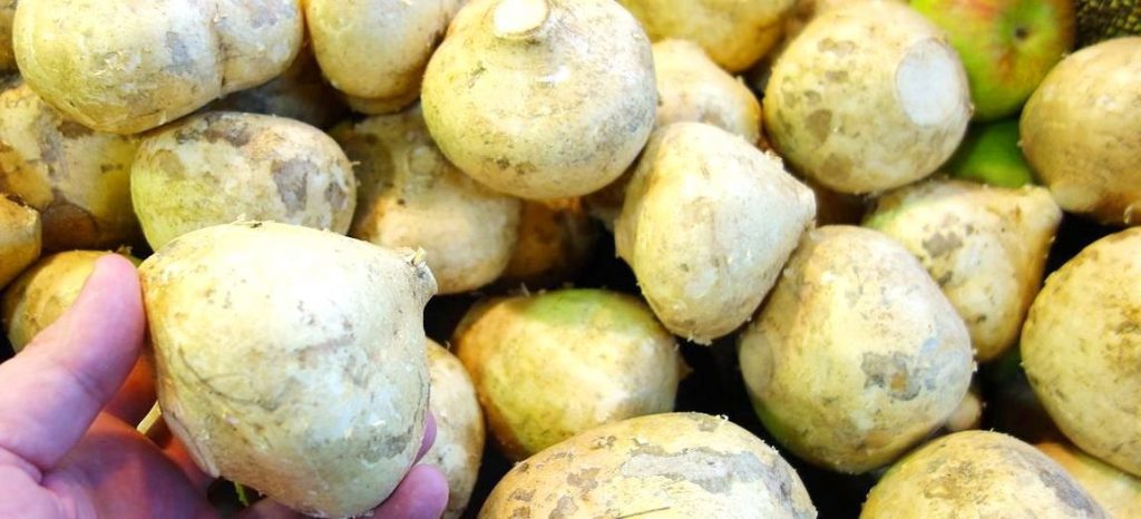 Health benefits of Jicama root - ValueFood