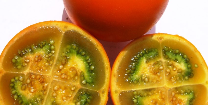 Health benefits of Lulo - ValueFood